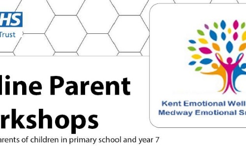 Rowhill School - Online Parent Workshop